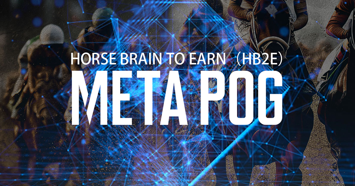 METAPOG - METAPOG とは？